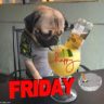 70 Friday Memes to Launch Your Much Needed Weekend | Bridal Shower 101