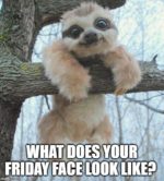 70 Friday Memes to Launch Your Much Needed Weekend | Bridal Shower 101