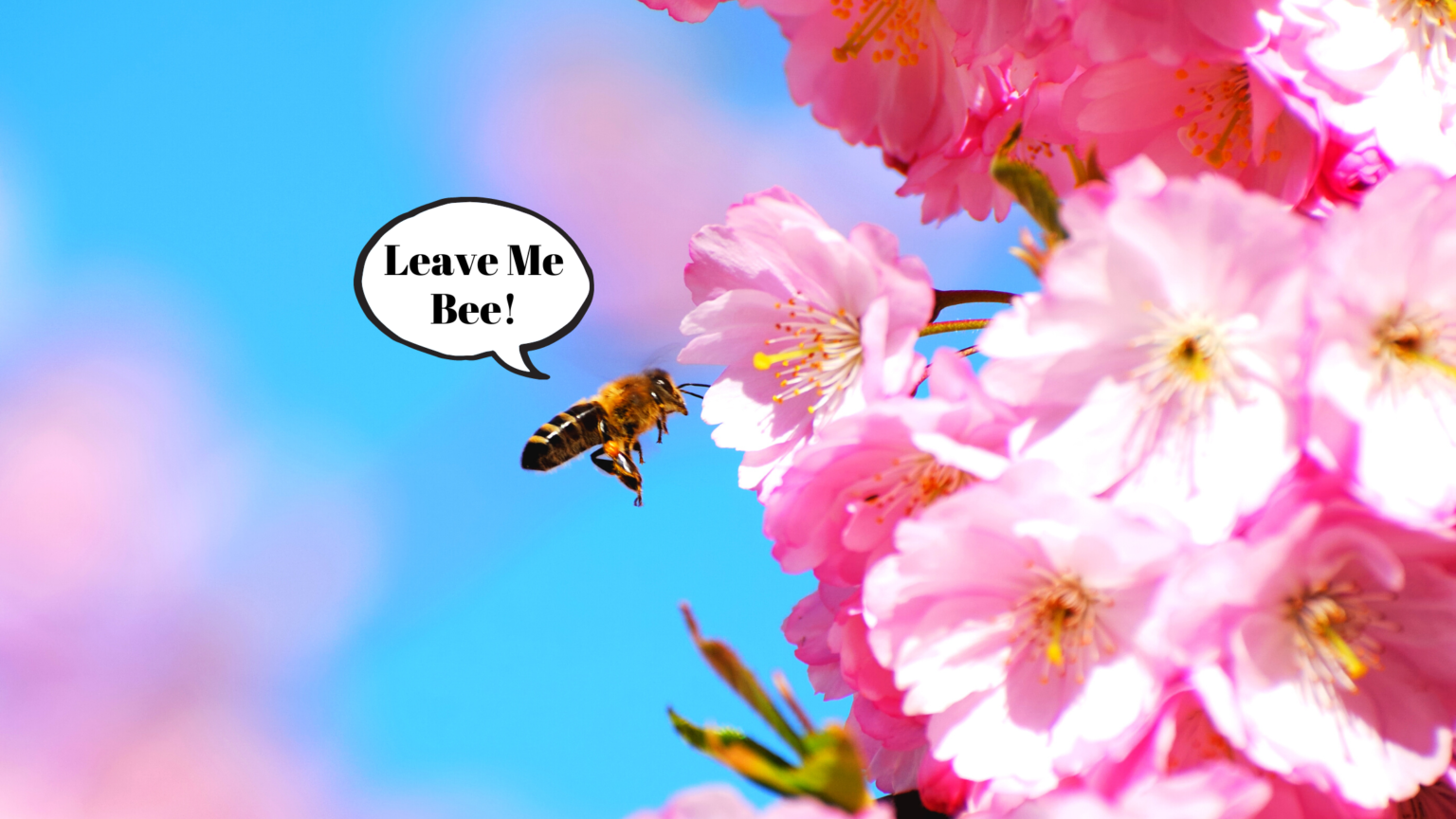 Bee Puns and Jokes That Really Sting | Bridal Shower 101