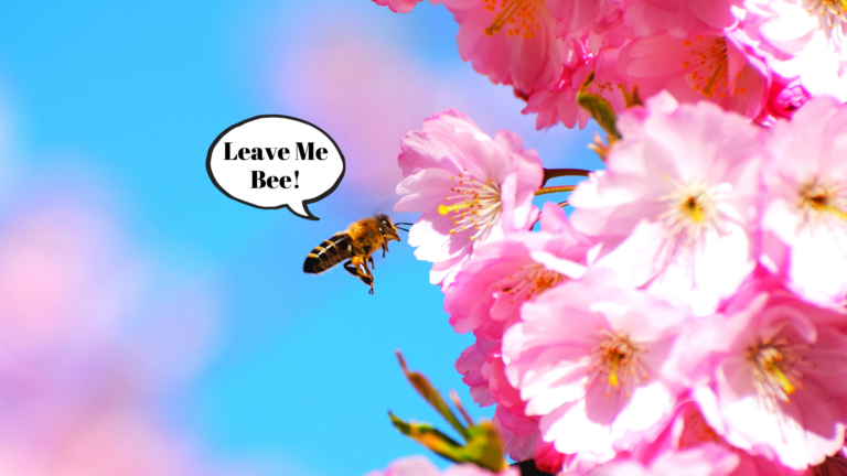 Bee Puns and Jokes That Really Sting | Bridal Shower 101