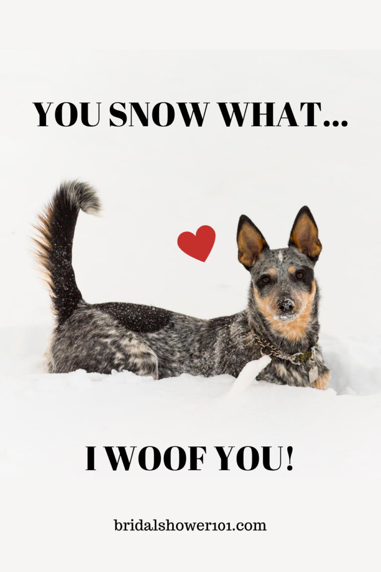 81 Funny Snow Puns For Winter Lovers | Bridal Shower 101