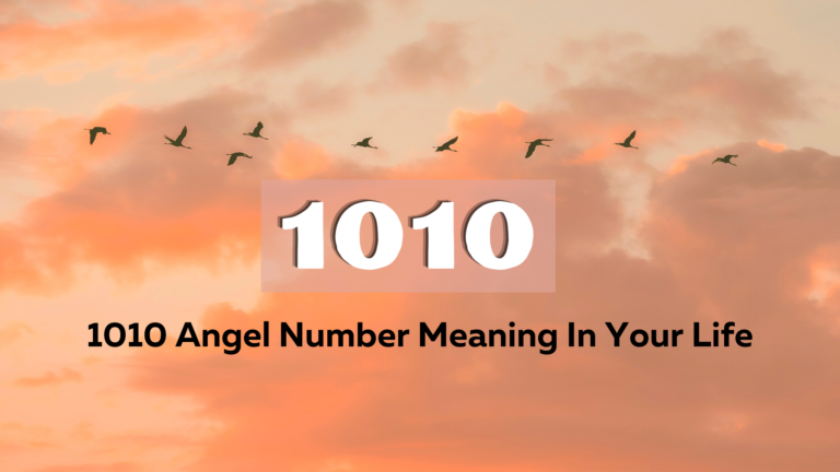 1010 Angel Number Meaning In Your Life | Bridal Shower 101